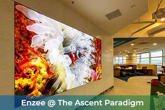 Enzee at The Ascent Paradigm | P1.5 VANTA COB microLED Screen